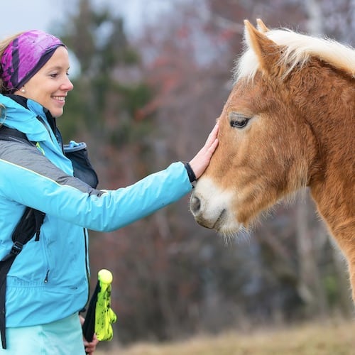 Fiches pratiques pour mieux comprendre son cheval - Bien avec mon cheval